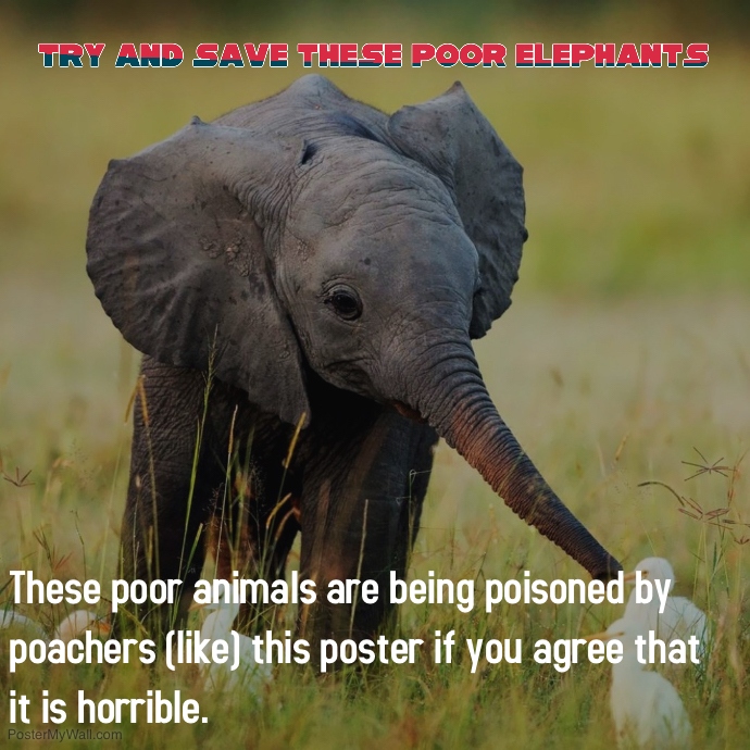 Save Elephants | PosterMyWall