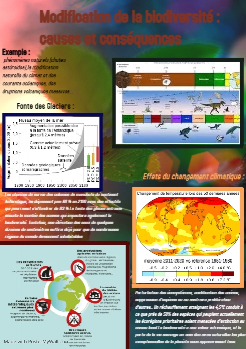 SVT AFFICHE | PosterMyWall