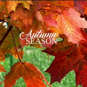 Fall festival instagram post template | PosterMyWall