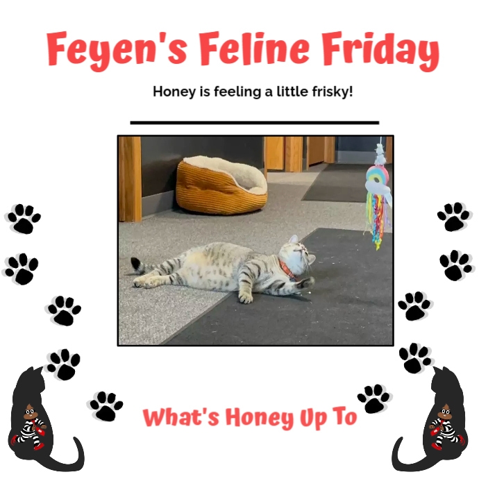 Feline Friday #1 (9) | PosterMyWall