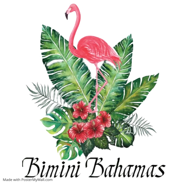 Bimini Bahamas (1) | PosterMyWall