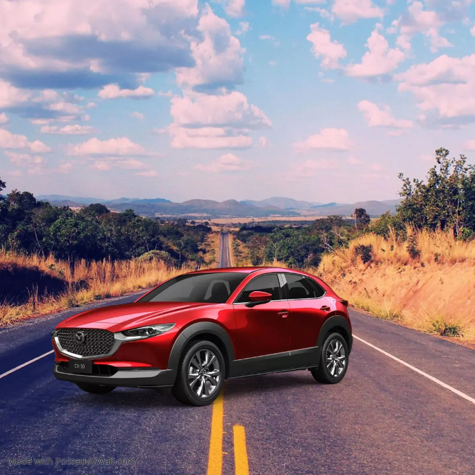 Car Promo Deals | PosterMyWall