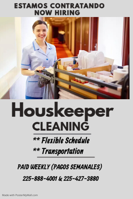 Window Cleaning Poster Poster | PosterMyWall