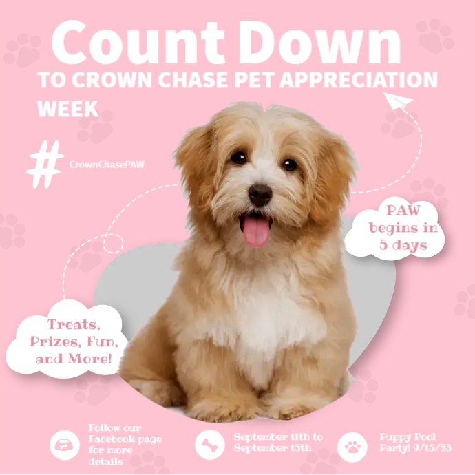 Pet Store Ads | PosterMyWall