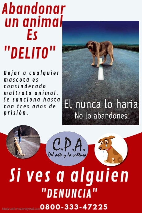 Copy of Copia de Dog Pet care wash service flyer template | PosterMyWall