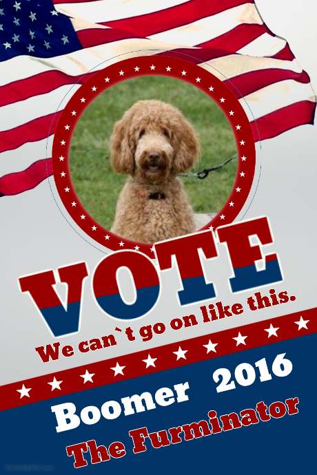 Boomer for President | PosterMyWall