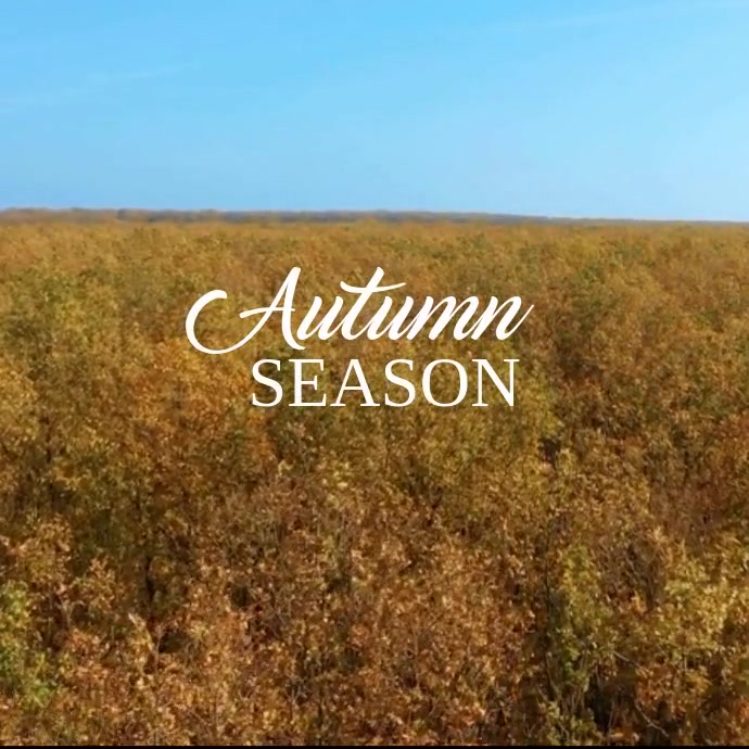 86 Autumn and Fall Template | PosterMyWall