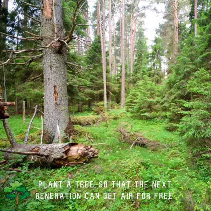 86 Earth Day Template | PosterMyWall