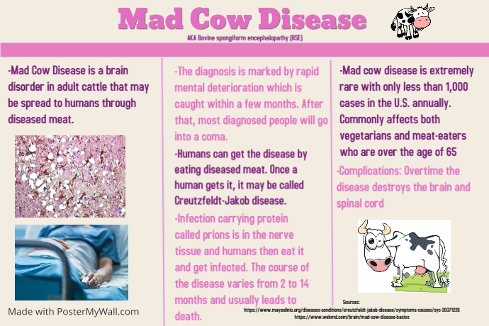 Mad Cow Disease | PosterMyWall
