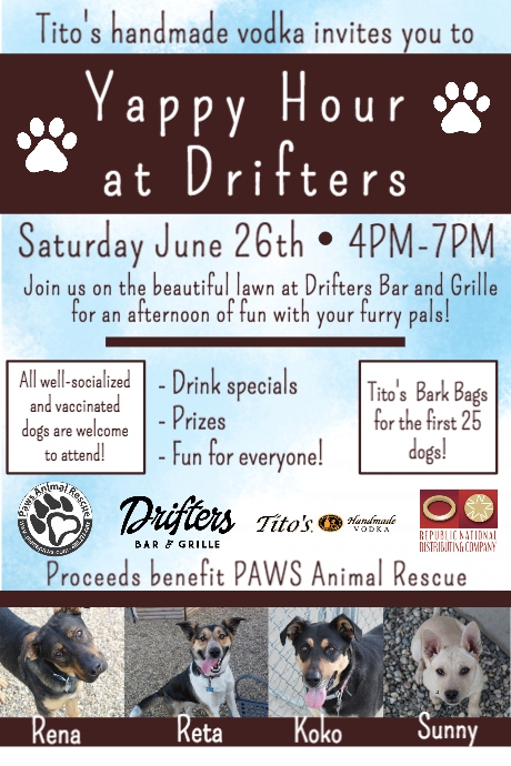 Copy of Dog Wash Poster | PosterMyWall