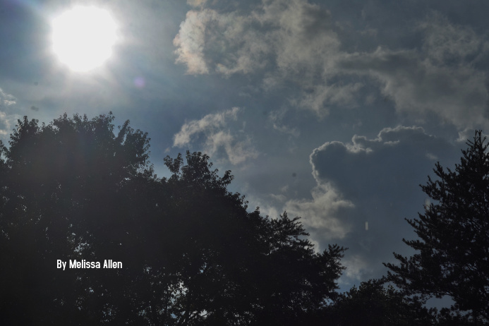 Sunny Day Template | PosterMyWall