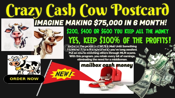 CARZY CASH COW FLYERS (3) | PosterMyWall