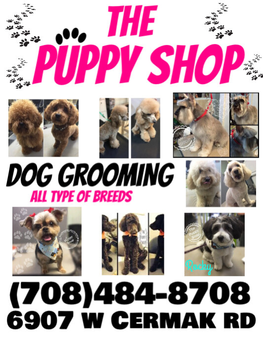 Copy of Pets | PosterMyWall