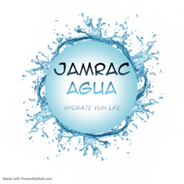 Copy of Water Splash Abstract Business Logo Template | PosterMyWall