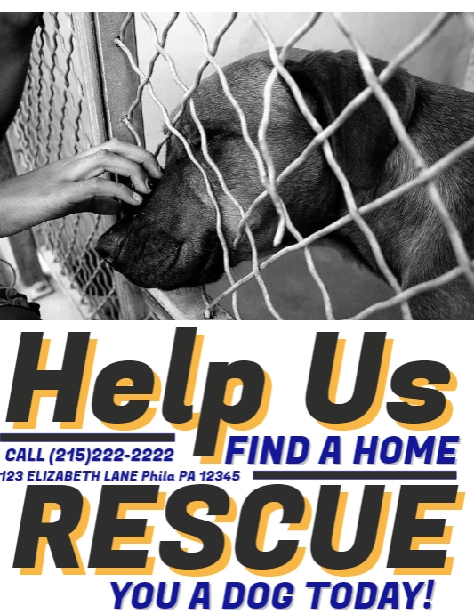 Rescue | PosterMyWall