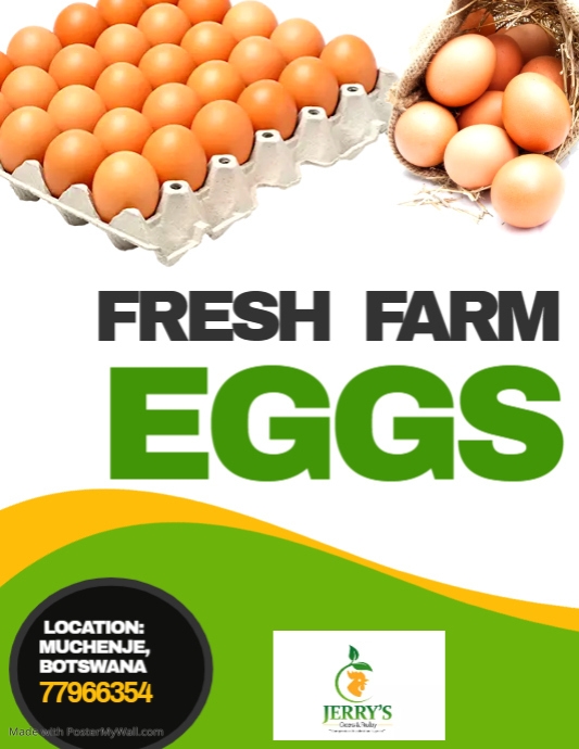 Fresh Eggs | PosterMyWall