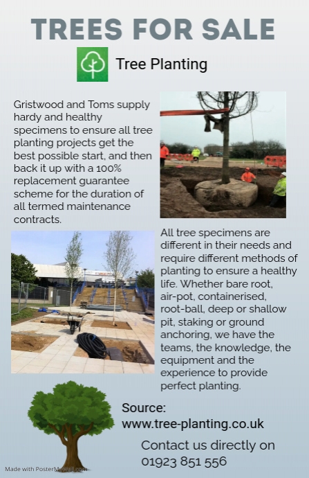 Trees For Sale | PosterMyWall