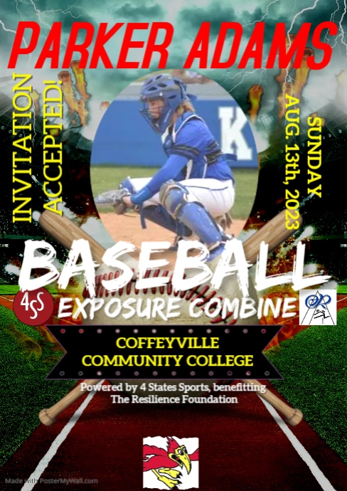 Copy of BASEBALL (6) | PosterMyWall