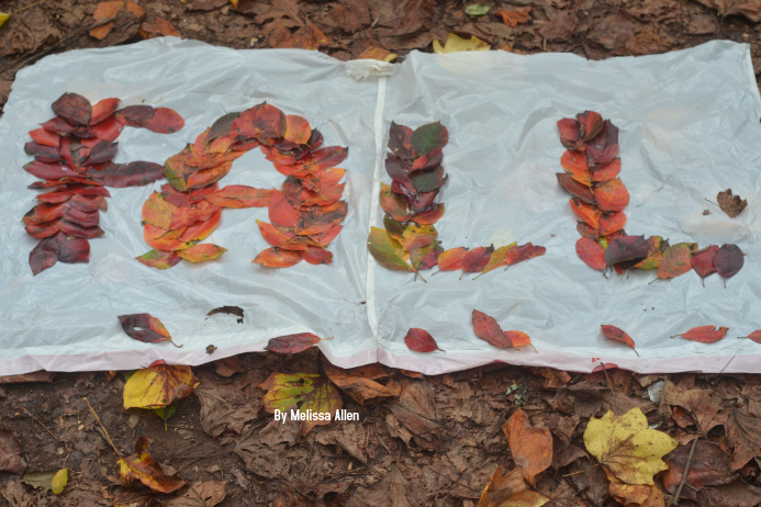 fall poster Template | PosterMyWall