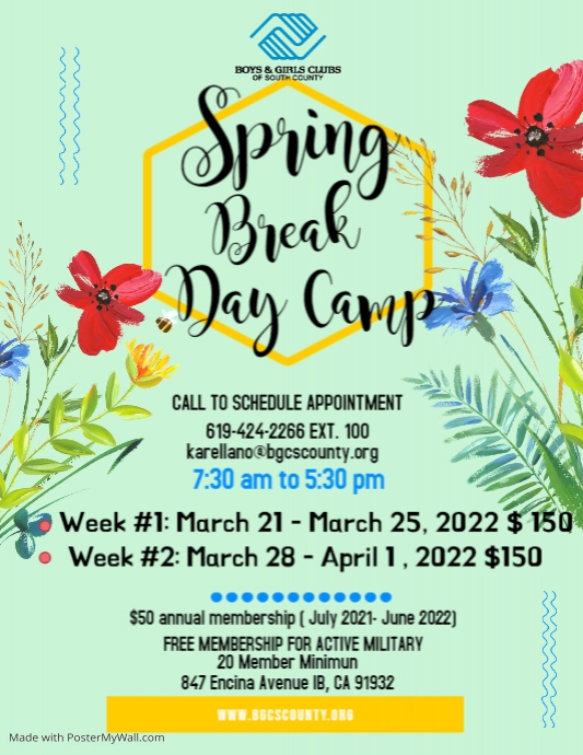 Copy of Spring Break Flyer | PosterMyWall