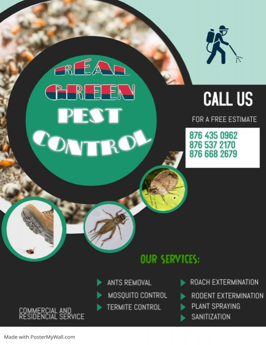 Copy of Copy of Pest Control Services | PosterMyWall