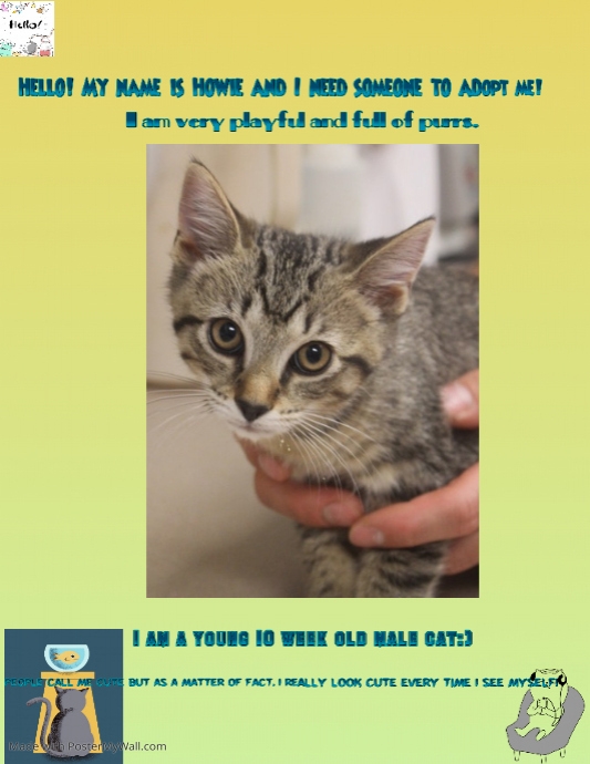 Daniel Ryu | PosterMyWall