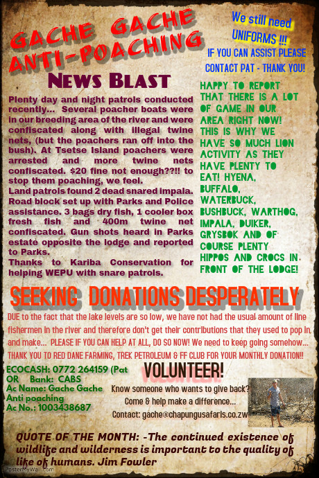 Gache Gache Anti-poaching update | PosterMyWall