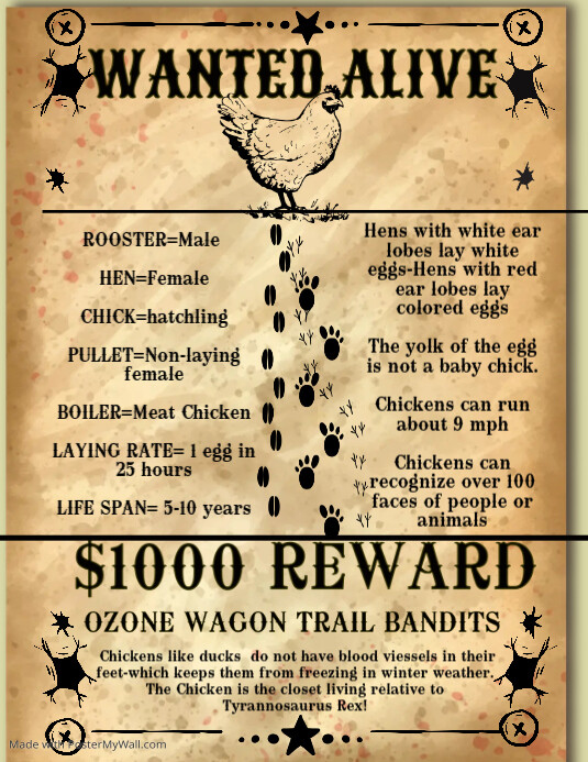 Wanted Poster CHICKENS | PosterMyWall