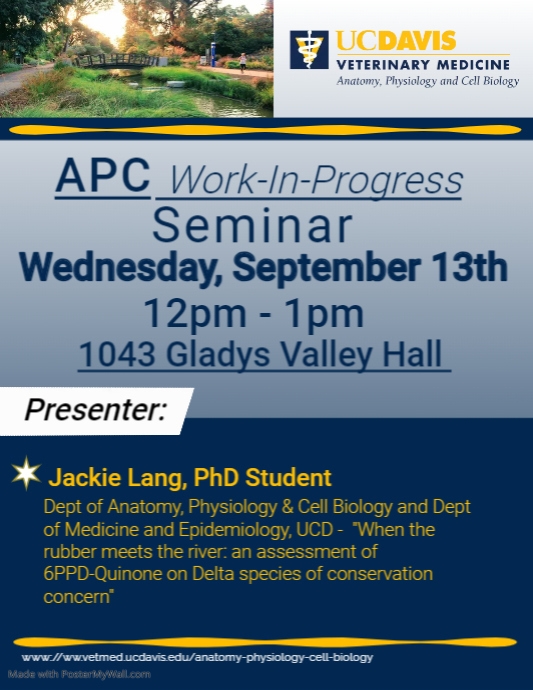 APC Seminar (2) | PosterMyWall