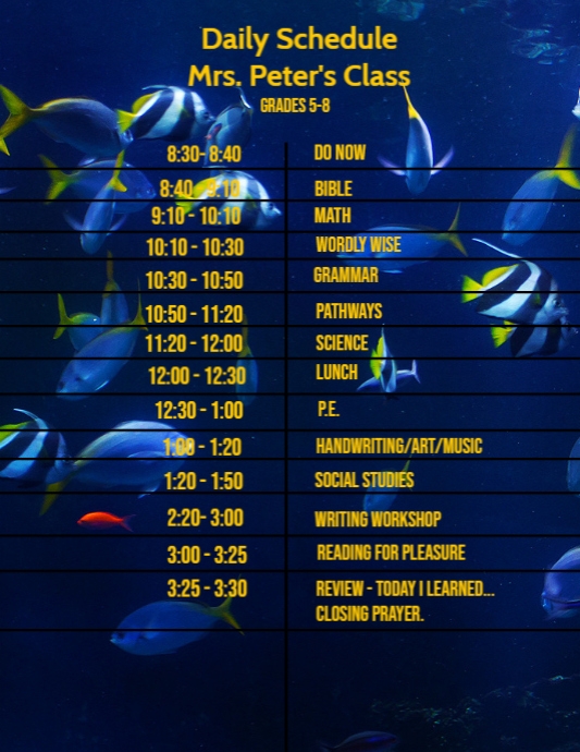 Copy of Daily Schedule for Classes Template | PosterMyWall