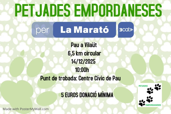 Copy of Copy of Copy of Copy of Copy of Paws | PosterMyWall