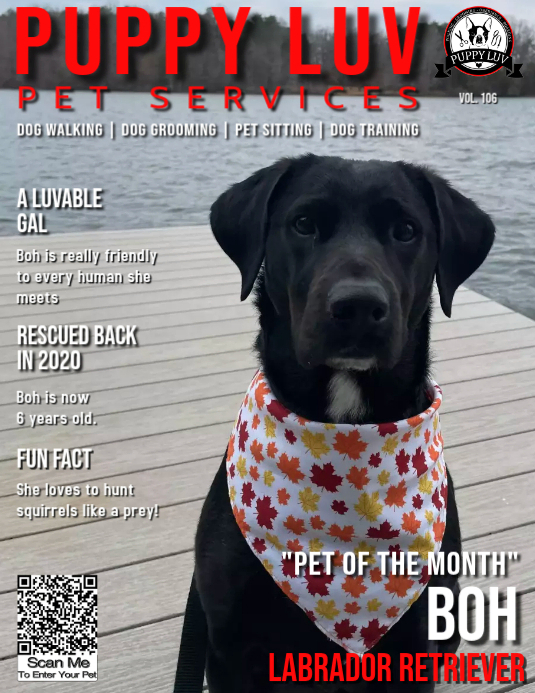 Boh - Pet of the Month October | PosterMyWall