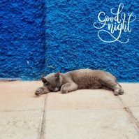 good night post Template | PosterMyWall