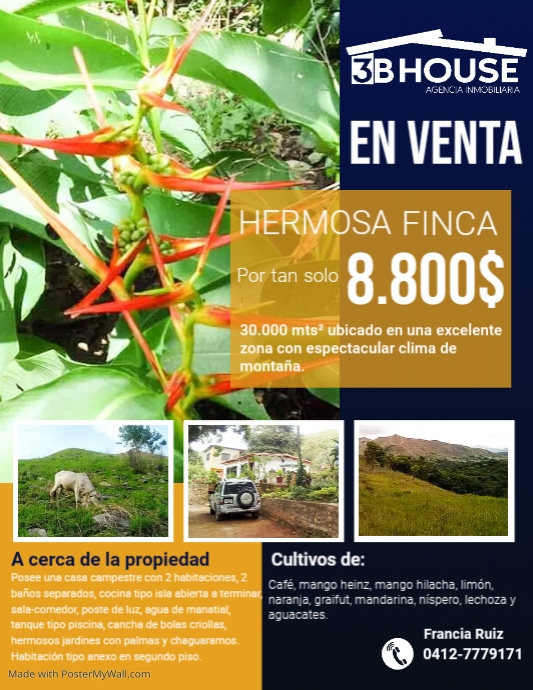 Copy of Finca Bejuma | PosterMyWall