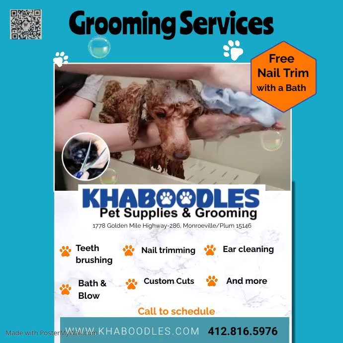Copy of Dog grooming poster template | PosterMyWall