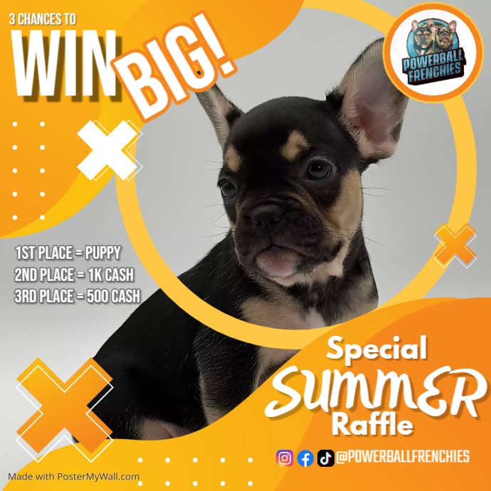 Maple Dog Walker Service Video Ad | PosterMyWall