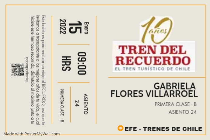 Copy of Copia de vip pass template design ticket | PosterMyWall