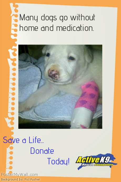 Copy of Active K9 PSA 1 | PosterMyWall