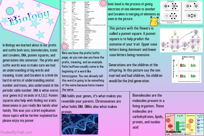 Biology | PosterMyWall