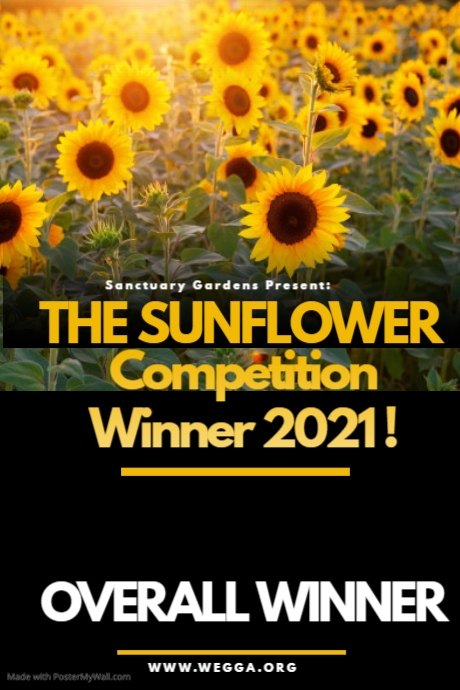 Copy of Copy of WEGGA Sunflower competition | PosterMyWall