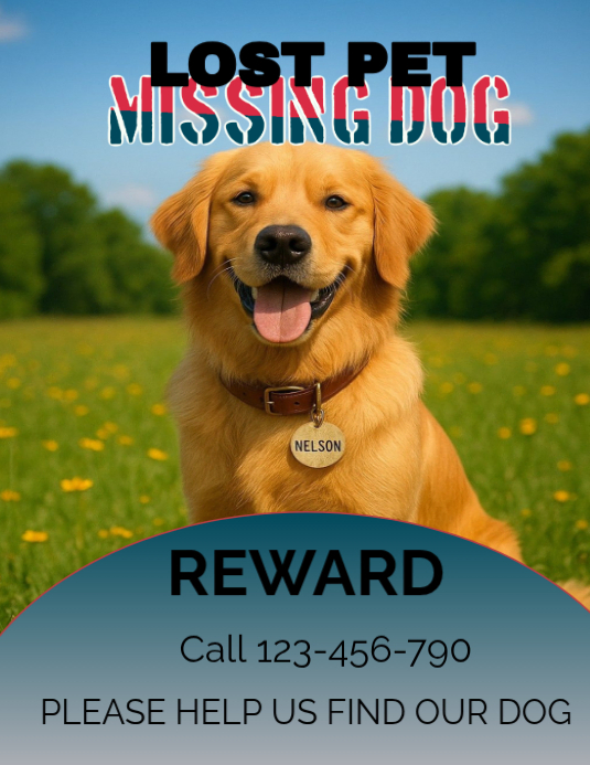A flyer of a lost dog Template | PosterMyWall