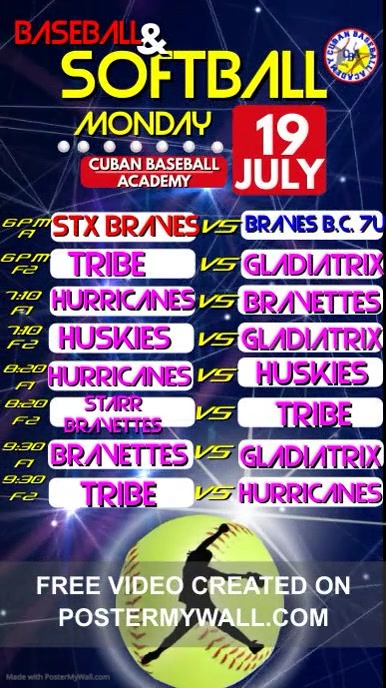 Copy of Baseball Game Instagram Story | PosterMyWall