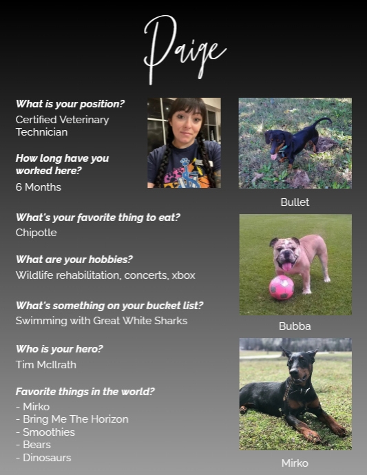 Paige | PosterMyWall