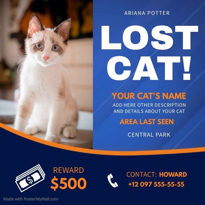 Copy of Blue Lost Cat Instagram Video | PosterMyWall
