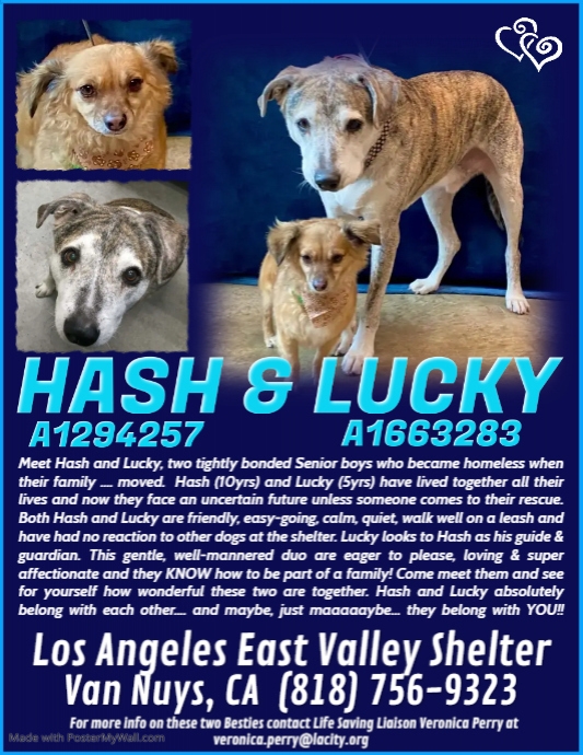 E FACEBOOK EV Hash & Lucky BONDED SENIORS Finished January 1, 2022 ...