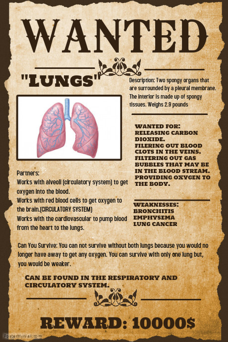Lungs | PosterMyWall