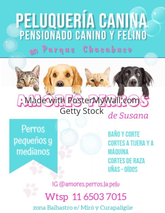 Copy of Copia de pet template | PosterMyWall