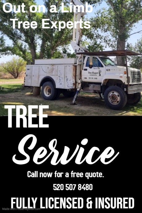 Copy of tree removal | PosterMyWall