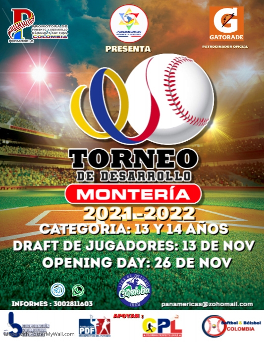 Copia de Baseball tournament template | PosterMyWall