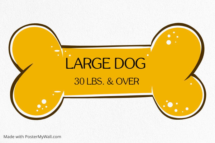 Best Dog At Work Badge Template | PosterMyWall